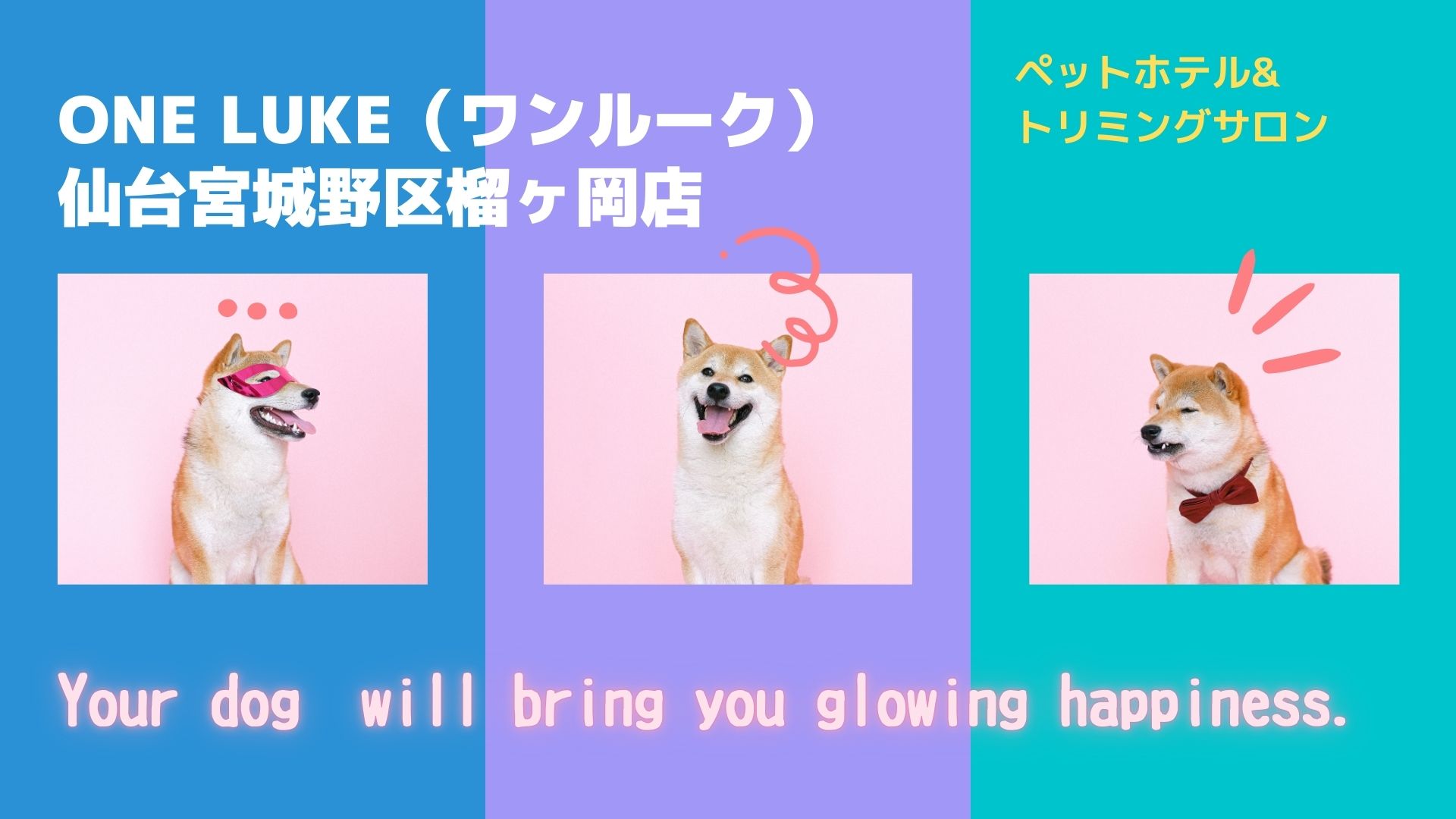 🐕初めてでも安心！ONE LUKE仙台宮城野区榴ヶ岡店が選ばれる理由 | ONELUKE（ワンルーク）仙台宮城野区榴ヶ岡店